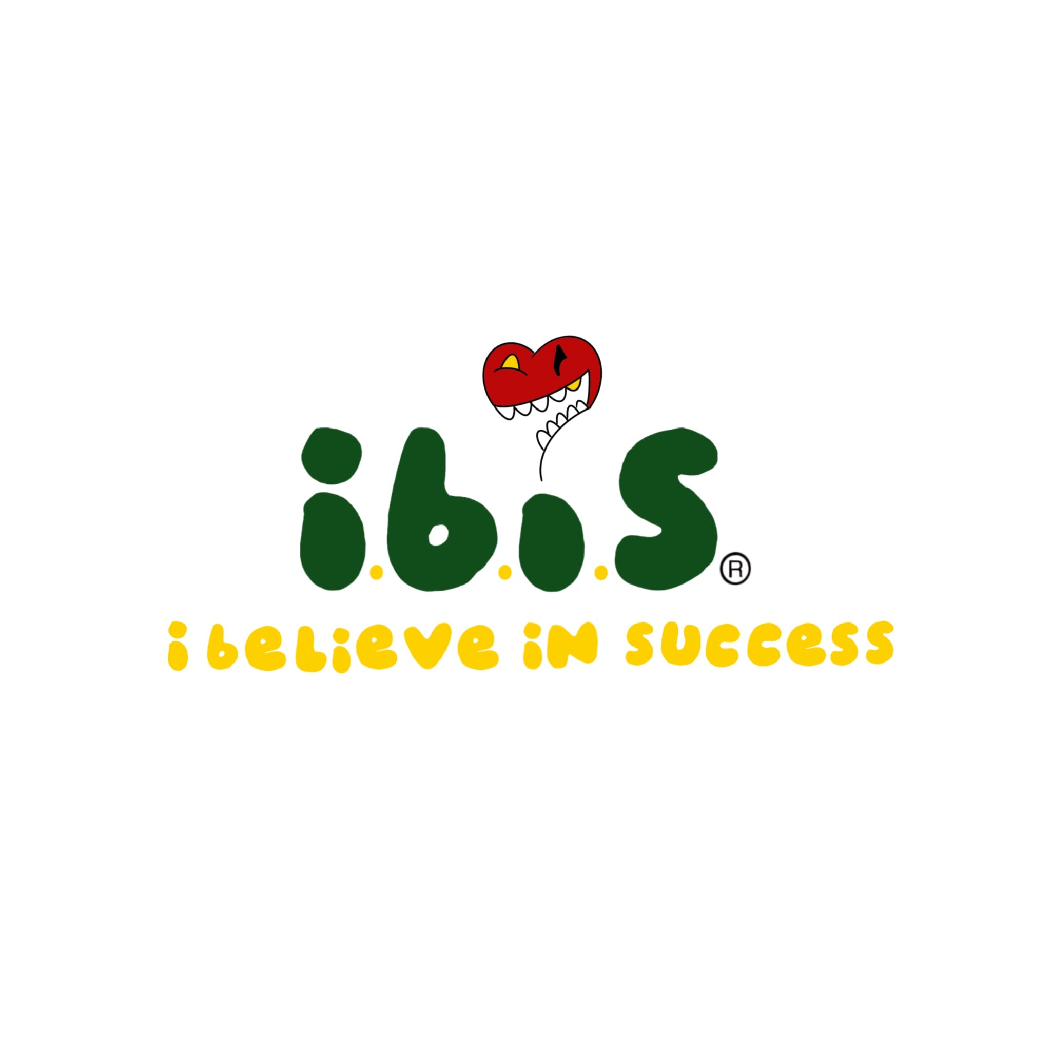 What is ibis Brand? – ibis Brand®